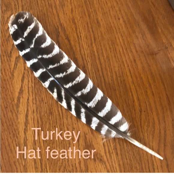 Oregon nw | Other | Turkey Hat Feather From Southern Oregon The Great ...